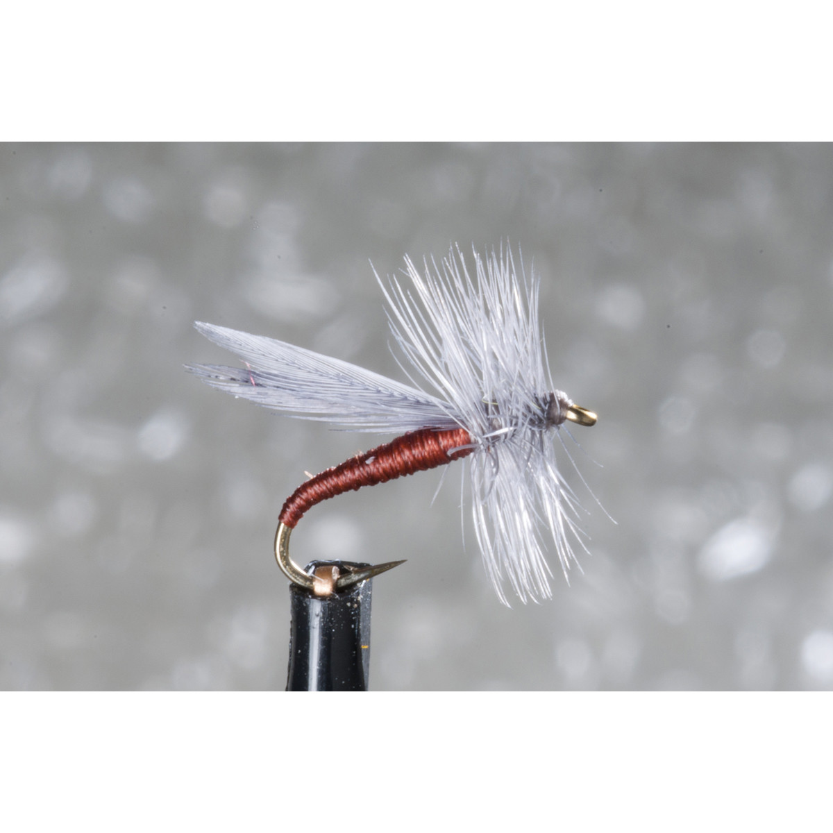 Termite Brown - Hurleys Fly Fishing